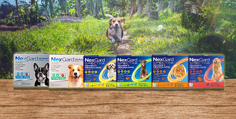 NexGard e NexGard Spectra: as principais diferenças, indicações ...