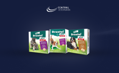 Drontal®: para que serve, tipos e benefícios para os pets - Central ...