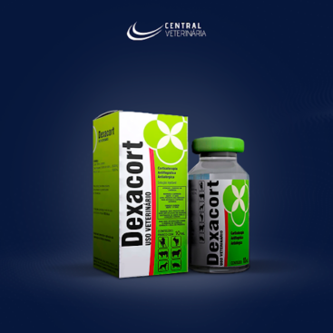 Dexametasona: indicações e benefícios para animais. - Central Veterinária