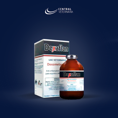 Dexametasona: indicações e benefícios para animais. - Central Veterinária